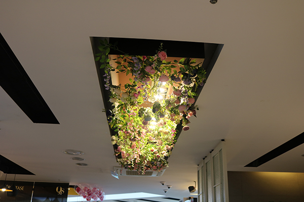 36th 오무선뷰티살롱 장미축제 - OMS GALLERY - 오무선 뷰티살롱