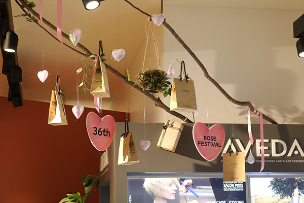 36th 오무선뷰티살롱 장미축제 - OMS GALLERY - 오무선 뷰티살롱